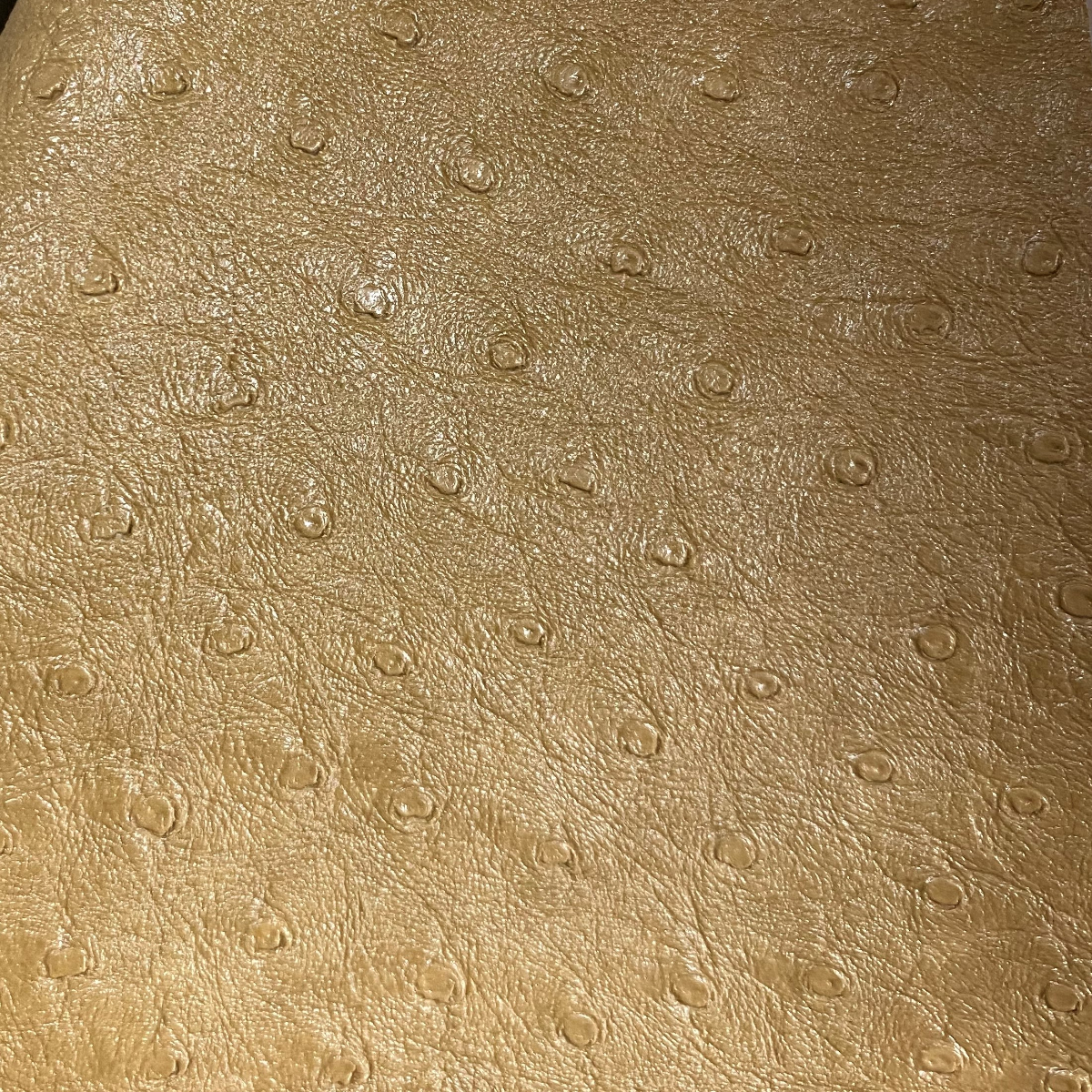 Ostrich Textured leatherette Soliena | Fabric UK